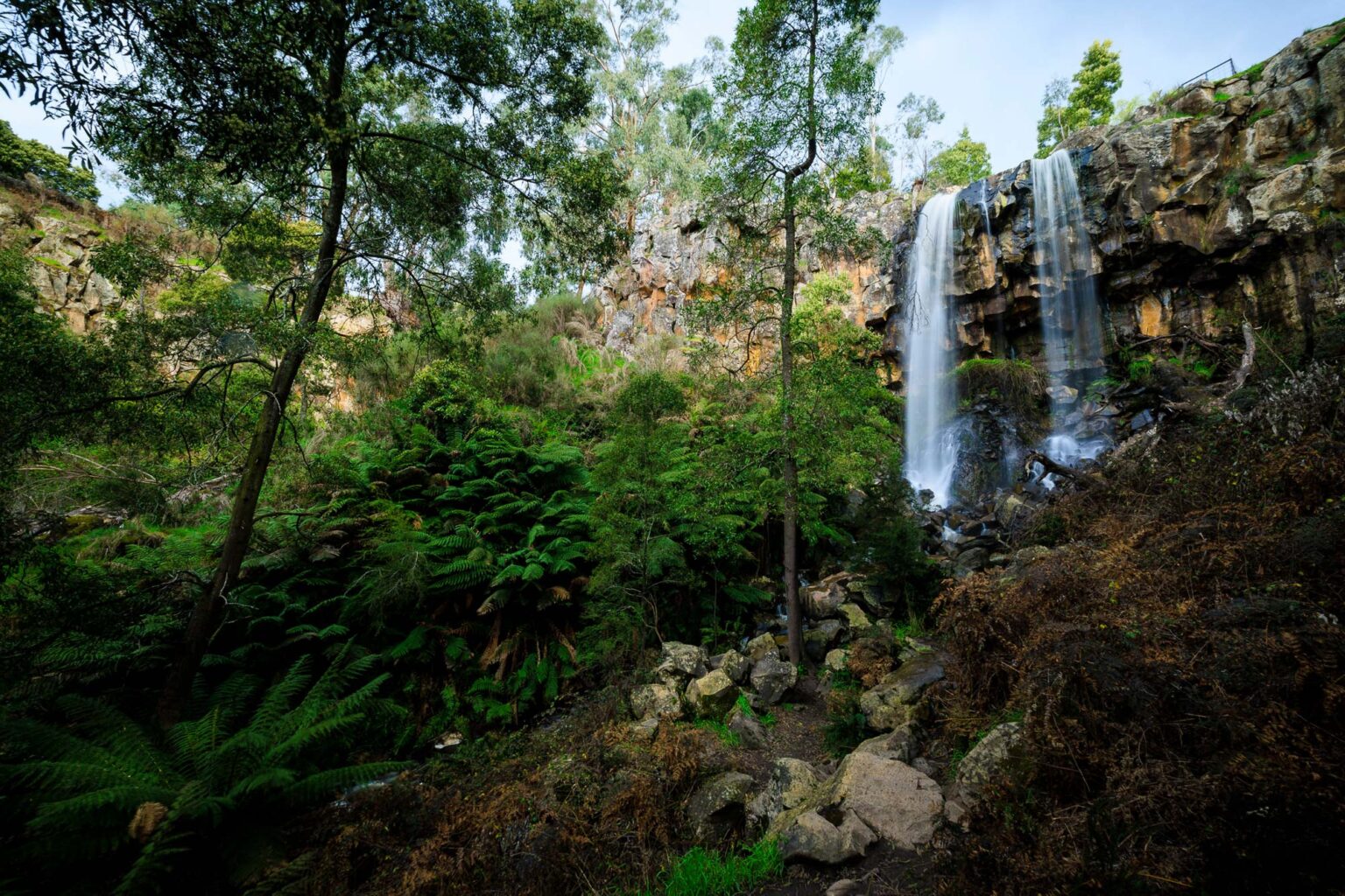 The Environment – Goldfields Track