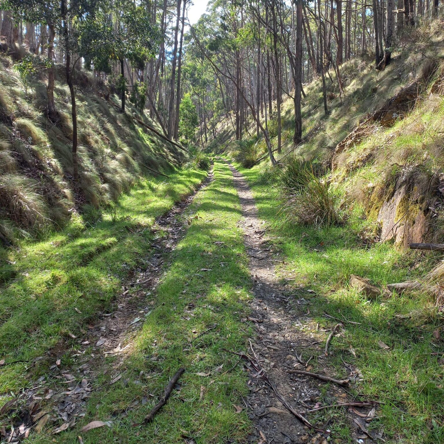 Wallaby Track (Walk) – Goldfields Track